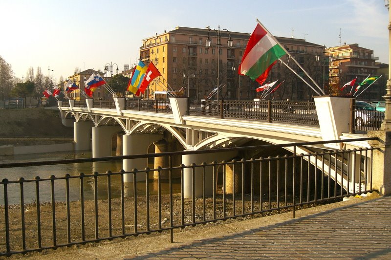 Realizzazione dell’allargamento del Ponte Bottego e ridefinizione e ...